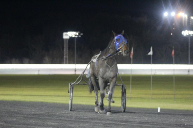 Rosecroft puts finishing touches on 2024 season | Local News | somdnews.com