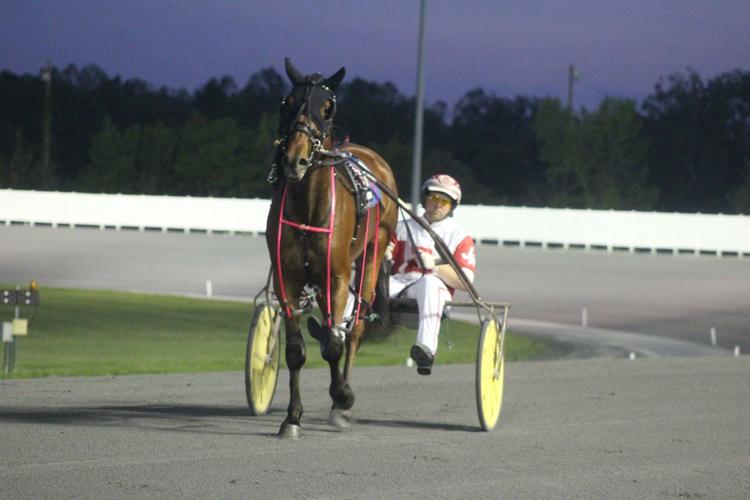Local horsemen dot the landscape in Southern Maryland | Regional ...