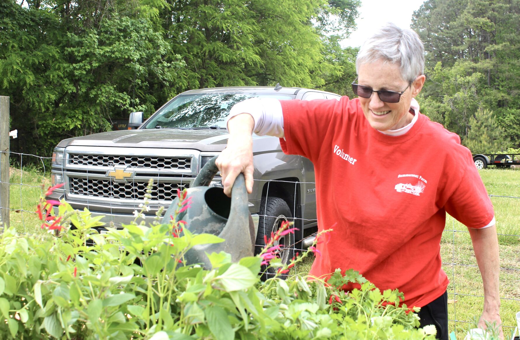 Flowers and plants bloom at Summerseat | Local News | somdnews.com