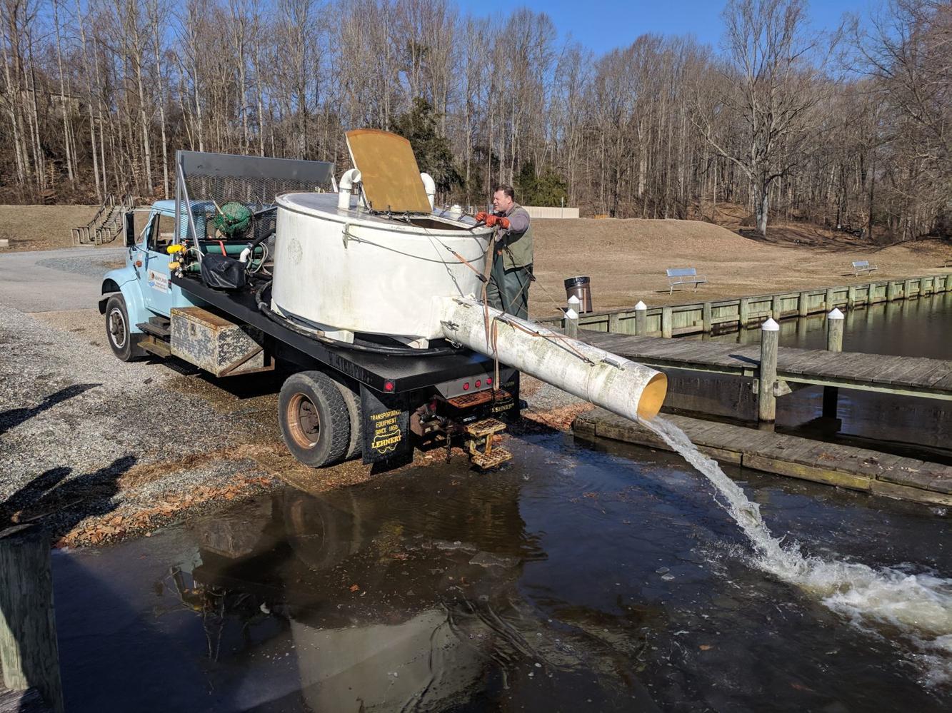 Preseason trout stocking is something to smile about | Outdoors ...