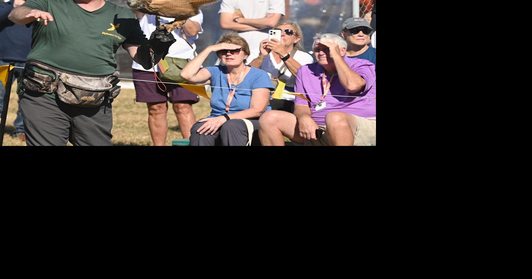 Falconry demonstration wows at VFW | APG State News | somdnews.com