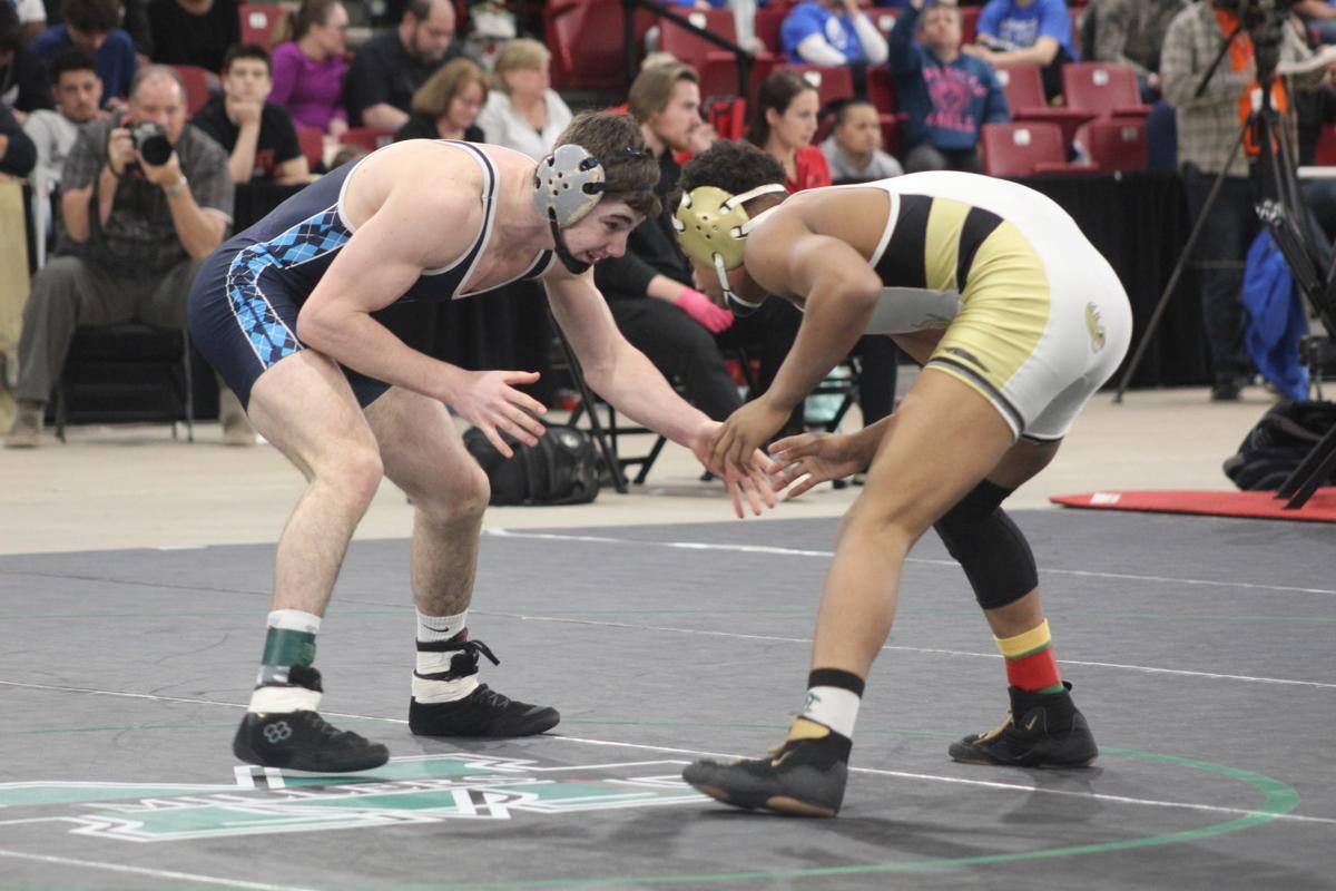 Several county wrestlers place in top six at state tournament | News ...