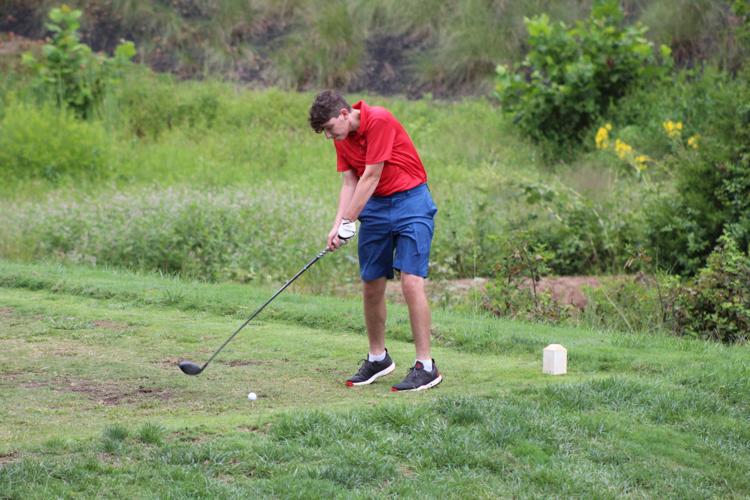 McDonough, Thomas Stone golf teams shine in season-opening match | News ...