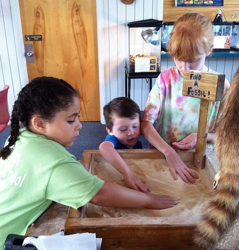 Smallwood State Park programs introduce children nature, wildlife ...