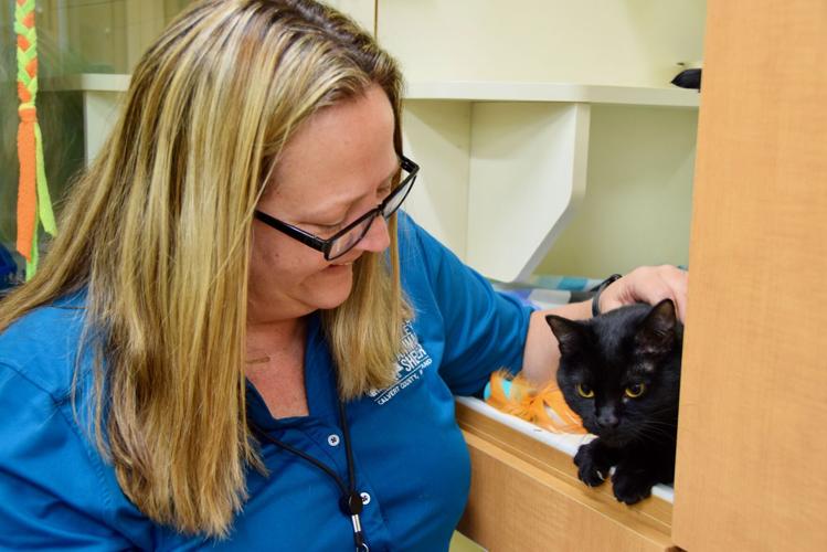 Calvert animal shelter hosts 'Sweating off Shelter Pounds' adoption ...