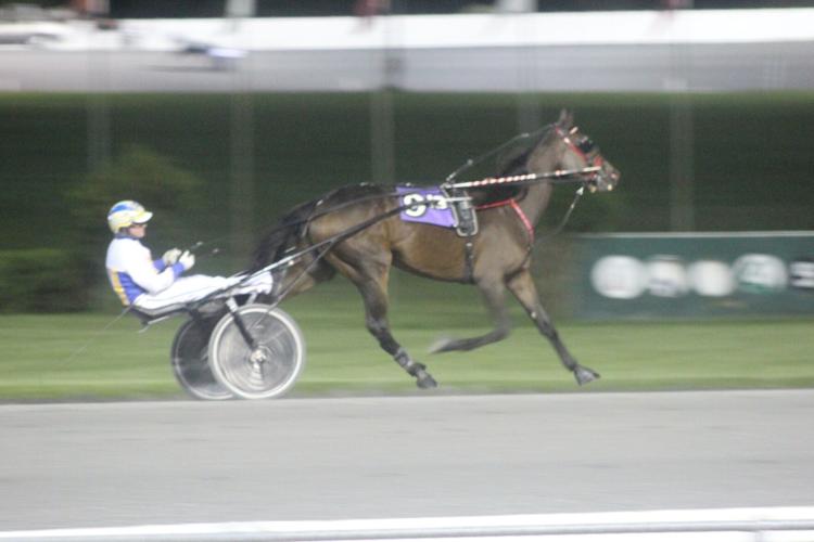 Rosecroft hosts Maryland Sire Stakes finals | Local News | somdnews.com