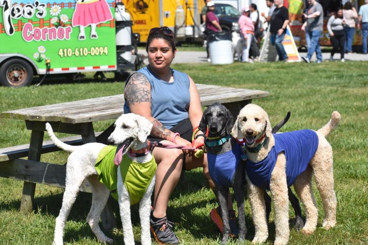 This day went to the dogs | Local News | somdnews.com