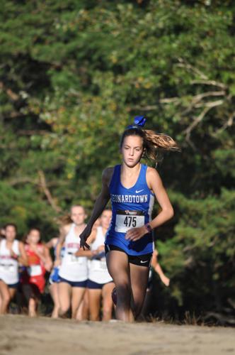 La Plata, North Point cross country teams compete in quad-meet | News ...