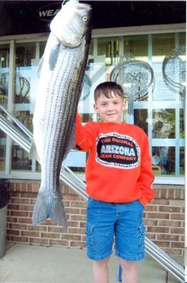Grabbing a rock | Archives | somdnews.com
