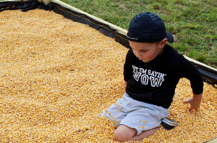 Local farm stand celebrates the start of fall season | Local News ...