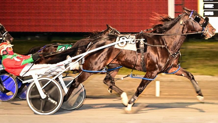 Rosecroft puts finishing touches on 2024 season | Local News | somdnews.com