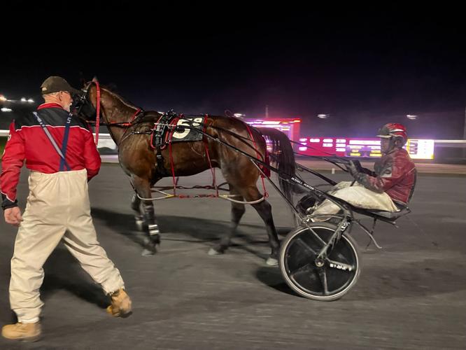 Cox racing horses at several venues | National | somdnews.com