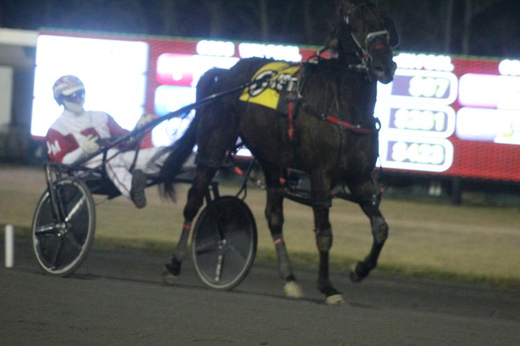 Rosecroft puts finishing touches on February slate | The Enquirer ...