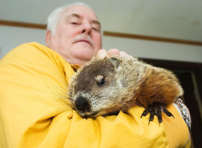 Volunteers keep the Orphaned Wildlife Rescue Center going | Spotlight ...