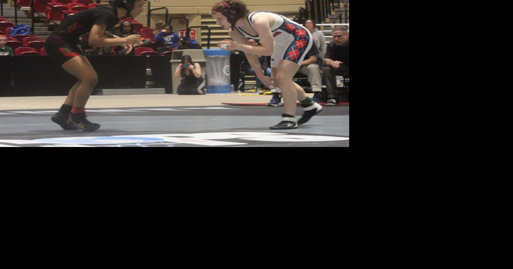 SMAC wrestlers, especially girls, perform well at states | High School ...