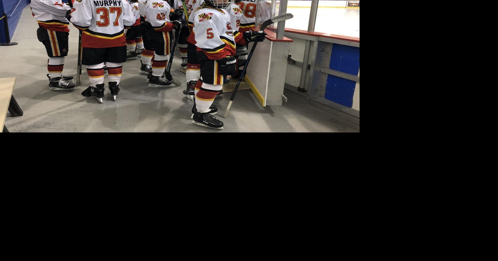 Sabres return to their home ice | High School | somdnews.com