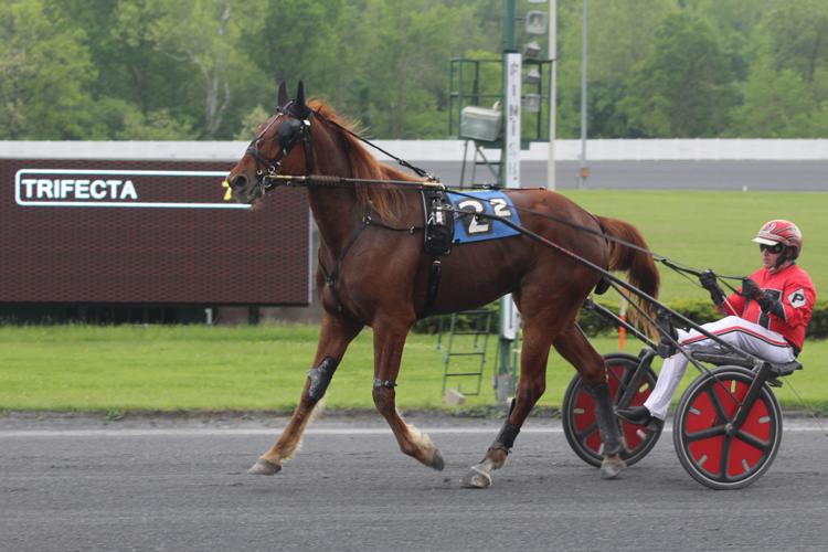 Rosecroft offers live racing on Kentucky Derby day | Local News ...