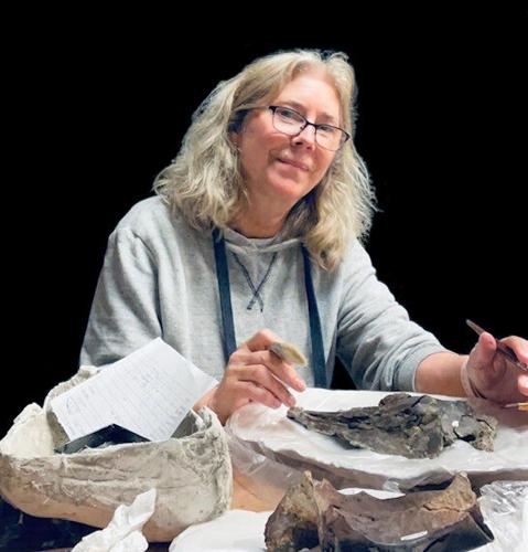 Keeping fossils safe: Rankin provides plaster jackets for Calvert ...