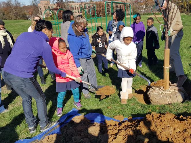 Local elementary school receives cherry blossom trees | Local News ...