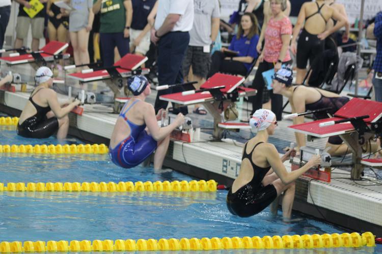 SMAC swimmers shine at state meet | High School | somdnews.com