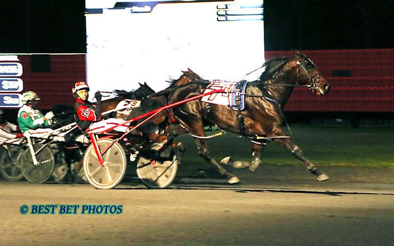 Rosecroft Raceway hosts third annual Potomac Pace | Local News ...