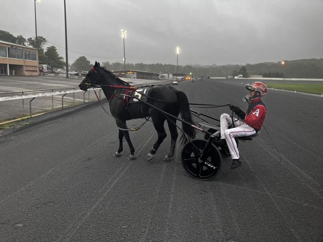 Rosecroft hosts Maryland Sire Stakes finals | Local News | somdnews.com