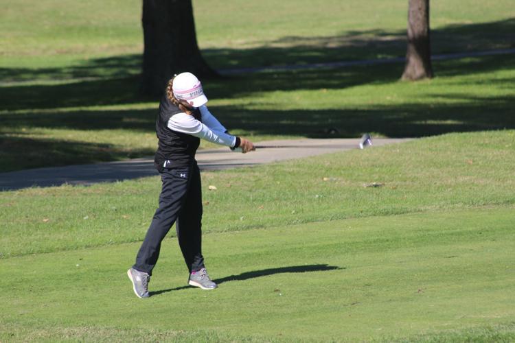 North Point's Davis, St. Charles' Spann in the hunt at state golf ...