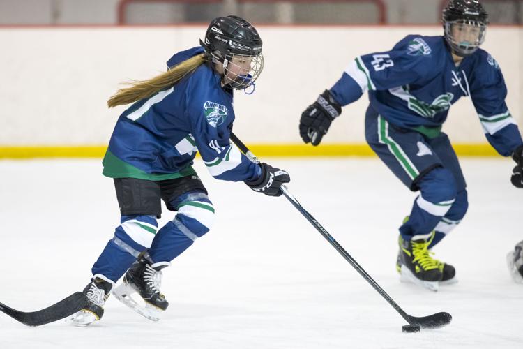 Ice hockey teams start another season | News | somdnews.com