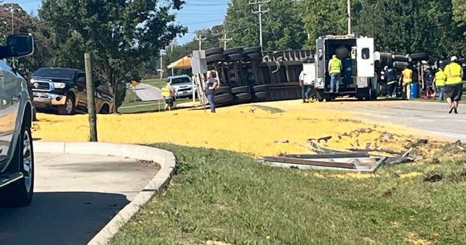Maize left to solve on Nancy road after overturned truck spills corn ...