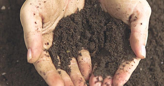 Your UK Soil Test Report: Use and Interpretation | News | somerset ...