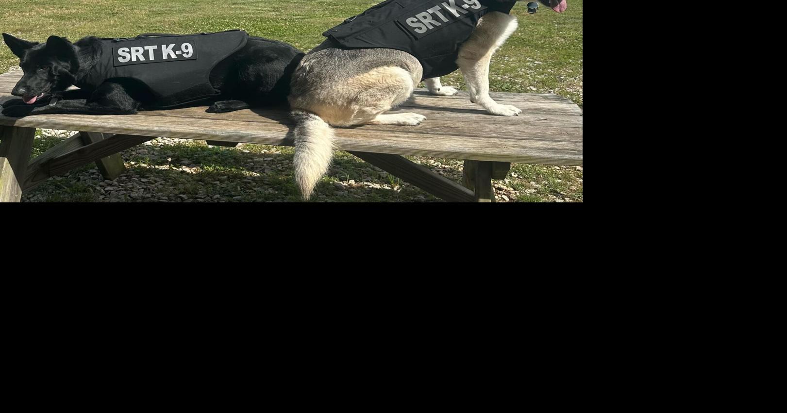 SRT fetches protective vests, health coverage for K9 units | News ...