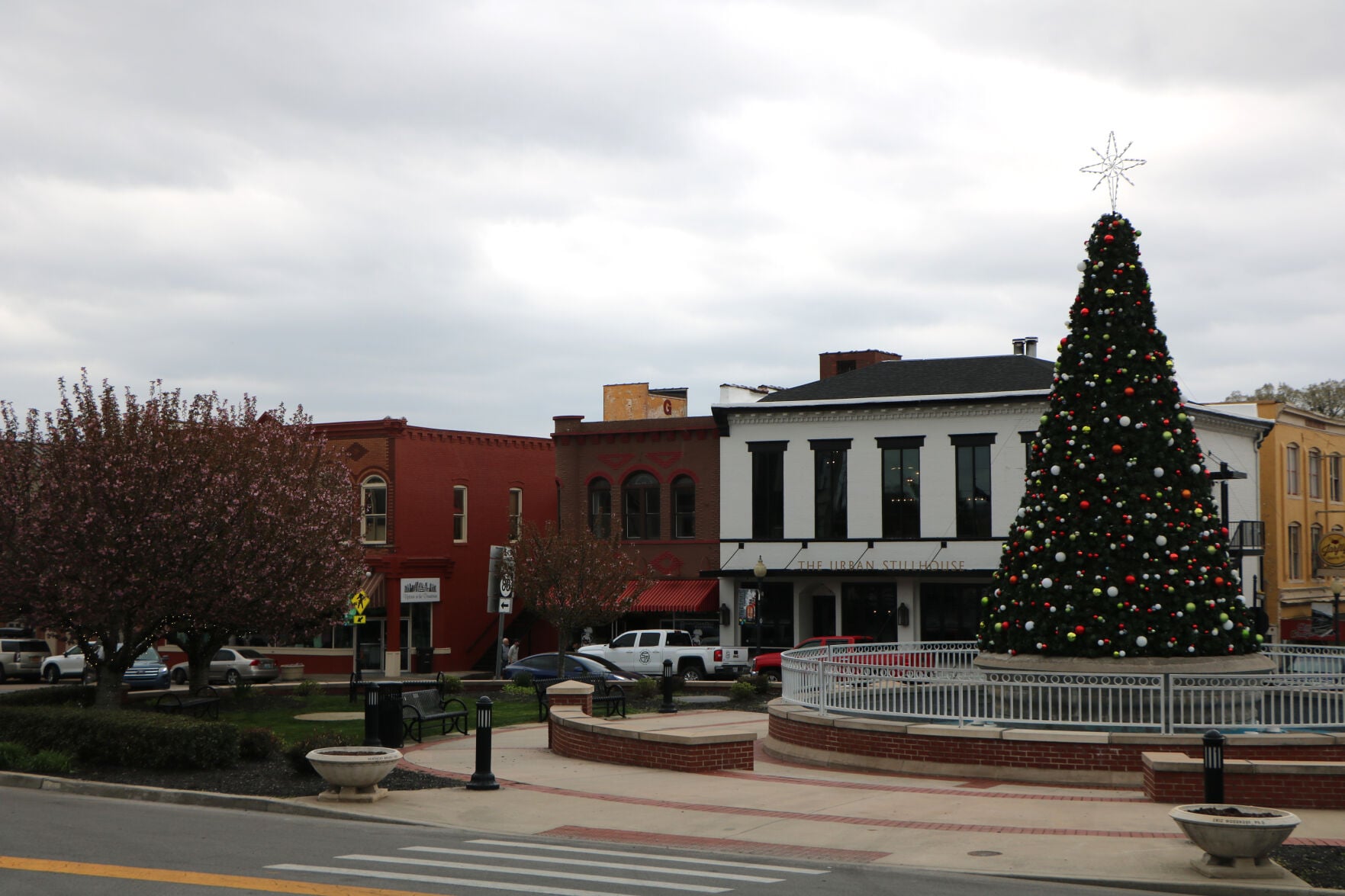 Christmas Tree in Spring | News | somerset-kentucky.com