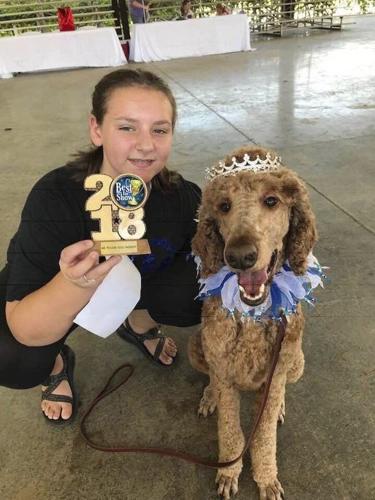 Pulaski Dog Pageant to provide un-fur-gettable fun October 5 | Local ...