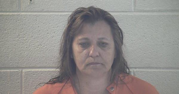 Holovich, Priggins arrested on drug, child endangerment charges | Local ...