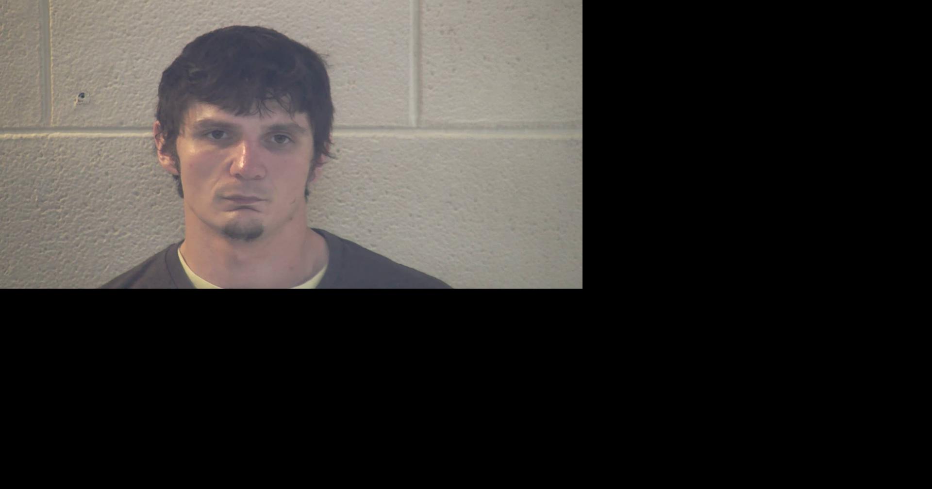 Holovich arrested on drug, child endangerment charges | News | somerset ...