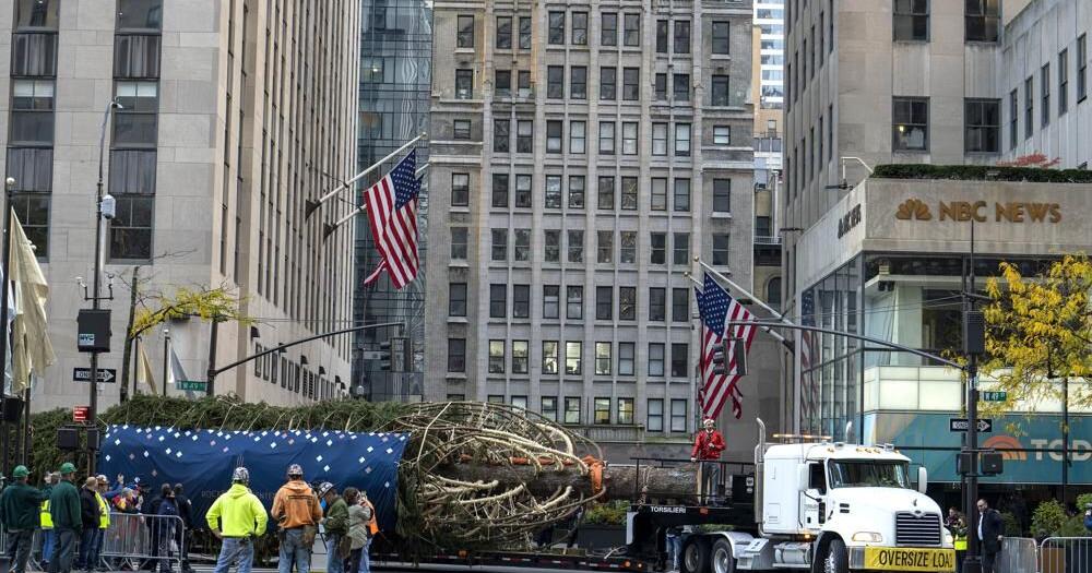 Home for the holidays: Rockefeller tree arrives in NYC | News ...