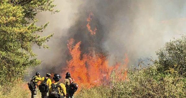 Forest fire consumes nearly 500 acres in eastern Pulaski County | Local ...