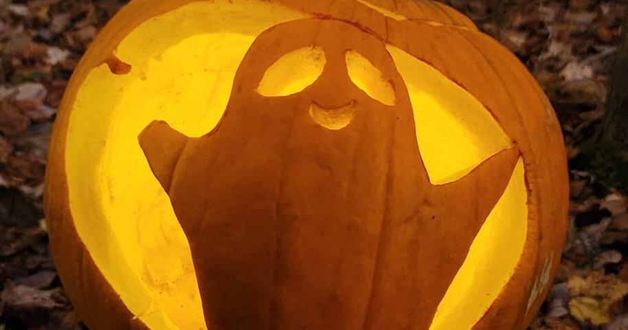 Glory Gardens brings back Enchanted Pumpkin Walk next week | News ...