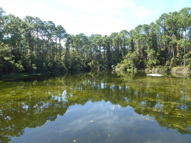 JEKYLL ISLAND: A most unusual park | Lifestyles | somerset-kentucky.com