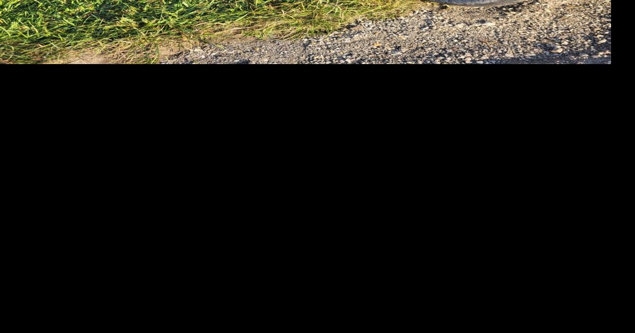 Woman arrested for DUI after collision with sheriff's deputy's vehicle ...