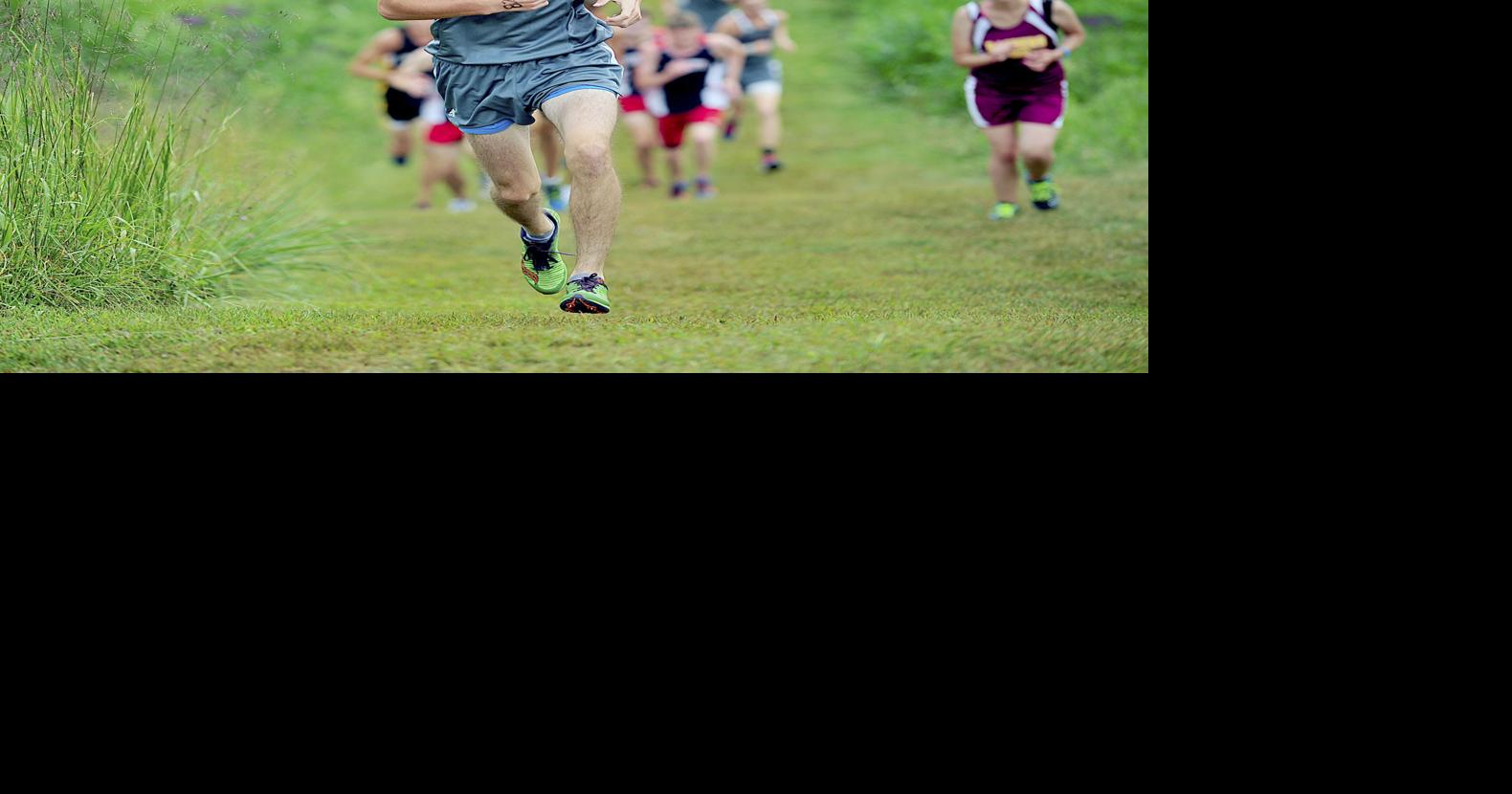 CROSS COUNTRY: Pulaski dominates Southern Harrier | Sports | somerset ...