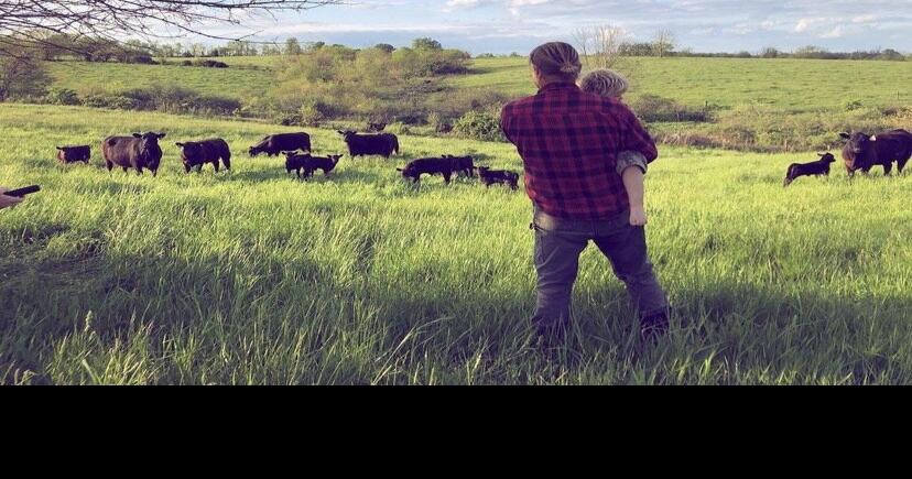 AGRICULTURE ECONOMY FOOD Happy cows, good food, more profits for ...