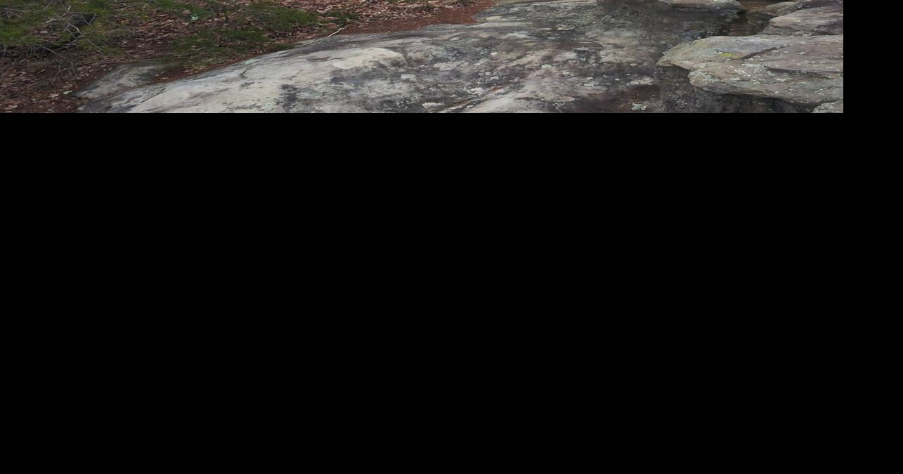 Skeletal remains from Wayne County to be examined out of state | News ...