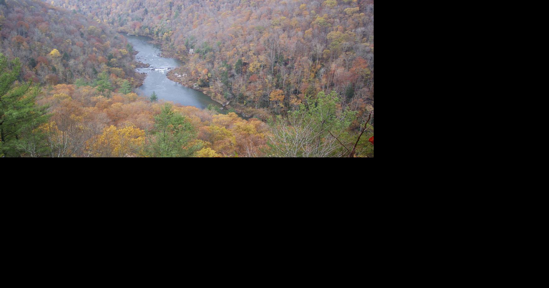 Habitat for duskytail darter has improved with lake conditions | News ...