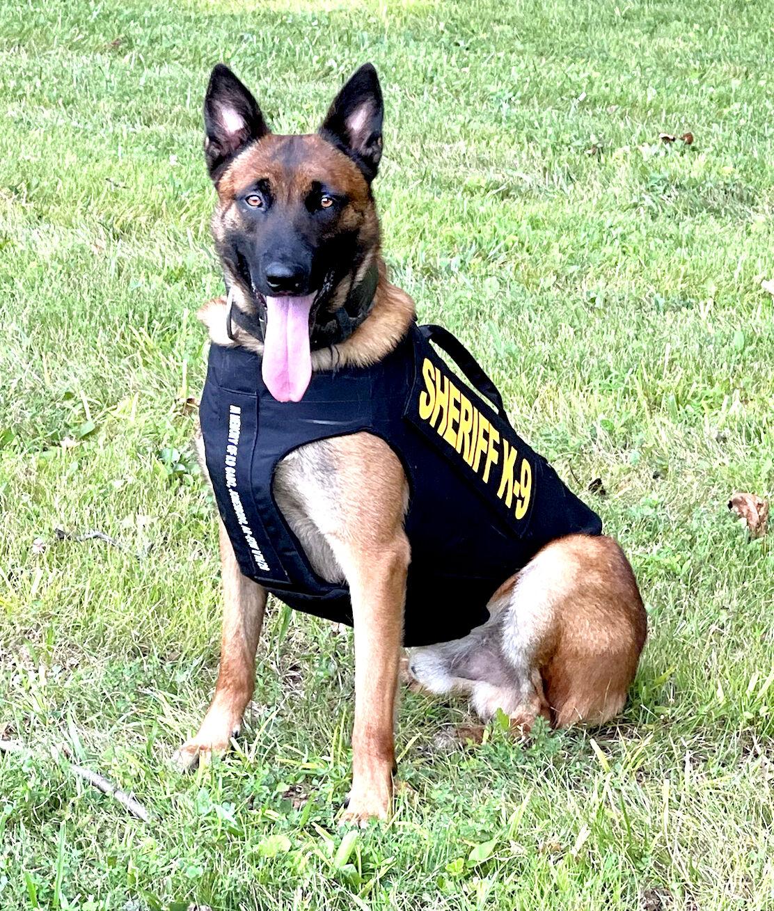 Sheriff’s Office K9 Rocky receives donation of body armor | News ...