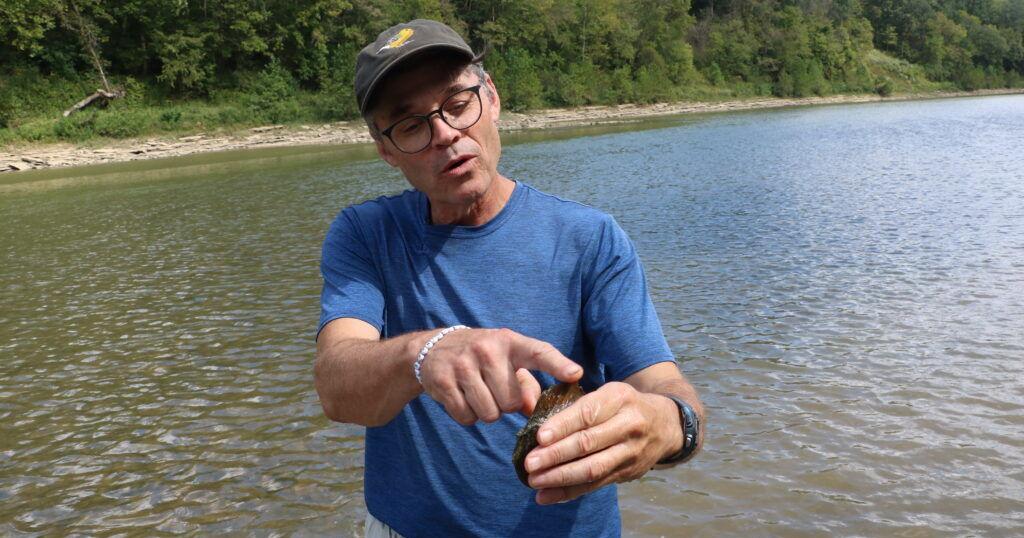 In Kentucky’s rivers, researchers try to understand where the mussels ...