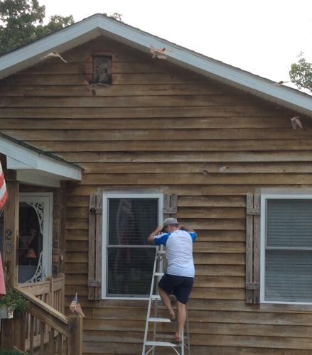 TV show goes 'batty' for local woman's home video | News | somerset ...