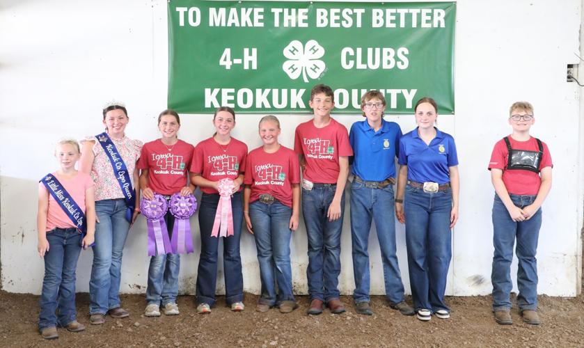 2026 Keokuk County Expo 4-H/FFA Sheep Show | Pekin News ...