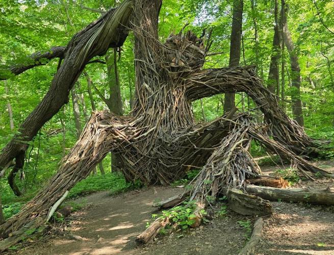 Trolling for Trolls in Clinton | Lifestyles | southeastiowaunion.com