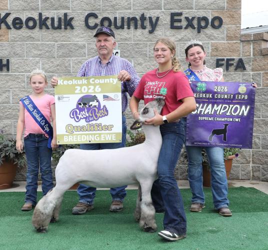 2026 Keokuk County Expo 4-H/FFA Sheep Show | Pekin News ...